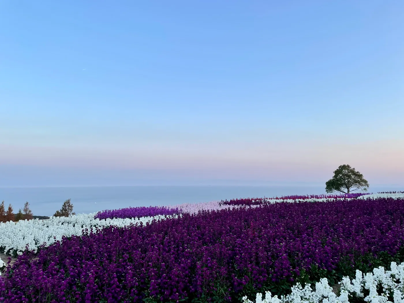 秋旅！旅好きさんからおすすめ～秋に行きたい関西地方の厳選おでかけ情報 | Funliday