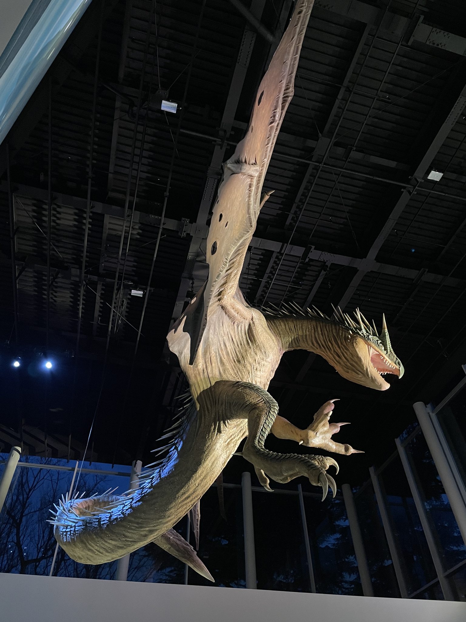 東京哈利波特影城攻略與遊記分享，門票、交通與營業時間資訊也一次整理！ | Funliday