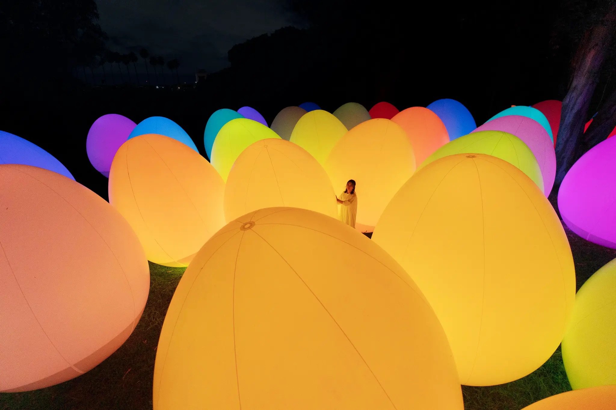 大阪 長居植物園 攻略與門票交通指南，白天賞花、夜間逛 teamLab 都精彩！| Funliday