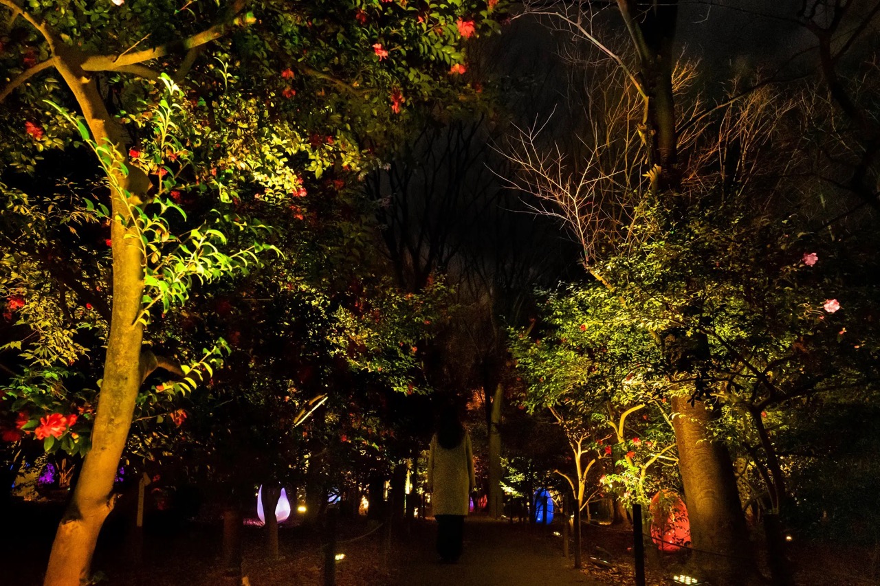 大阪 長居植物園 攻略與門票交通指南，白天賞花、夜間逛 teamLab 都精彩！| Funliday