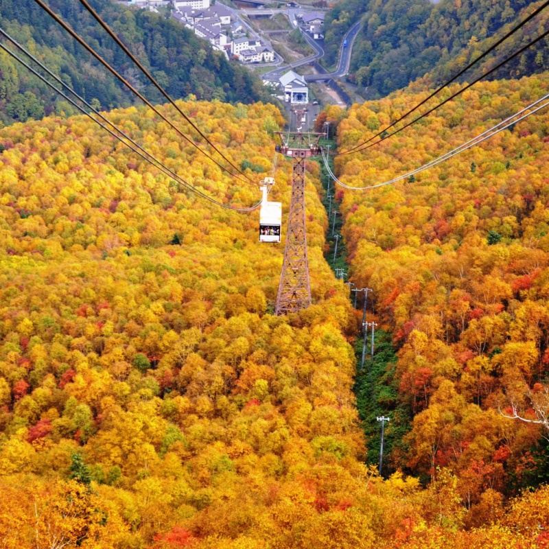 2025東京晴空塔全攻略｜門票購買、必看絕景、交通路線與周邊景點推薦 | Funliday