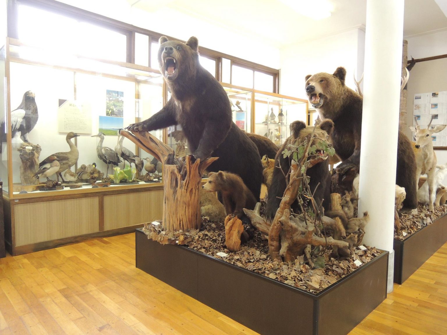 北海道 網走 景點TOP10：體驗破冰船、感受北國迷人風情！| Funliday