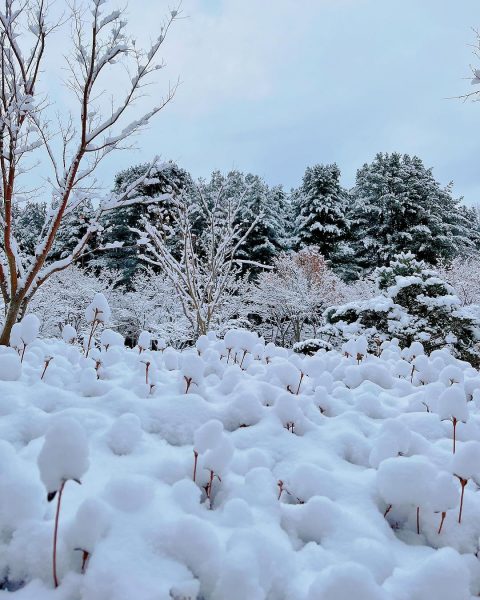 韓國玩雪攻略｜ 韓國下雪 月份、人氣賞雪景點TOP12全整理| Funliday