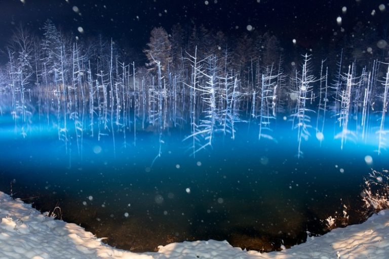 北海道玩雪攻略｜ 北海道下雪 月份、賞雪景點TOP10一次看 | Funliday