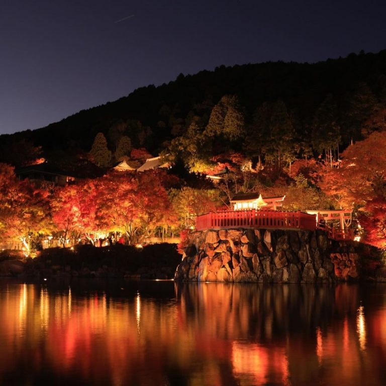 【2025版】大阪楓葉最佳時間｜10選必訪賞楓景點，11月中旬至12月上旬 | Funliday