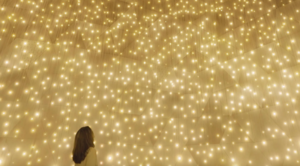 「京都teamLab Biovortex」10/7開幕！展覽亮點、票價與交通資訊 | Funliday