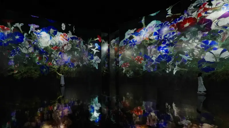 「京都teamLab Biovortex」10/7開幕！展覽亮點、票價與交通資訊 | Funliday
