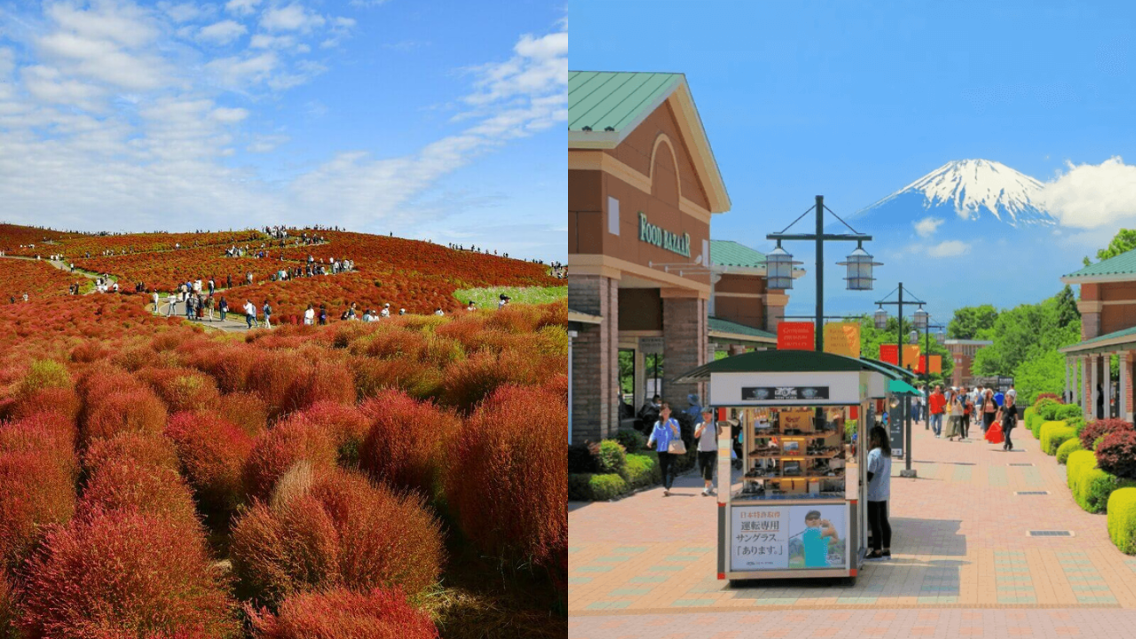 15 Best Day Trips from Tokyo 2026 | Explore Popular Spots Like ...