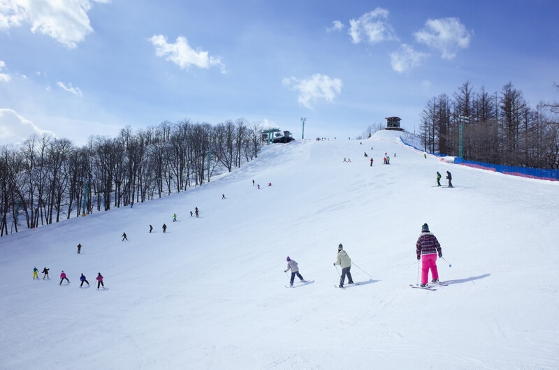[2026 Latest] 10 Must-Visit Ski Resorts Near Kanto for Day Trips ...