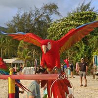 Roy Chan | Funliday travel guru