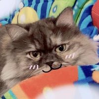 Karina Lin | Funliday travel guru