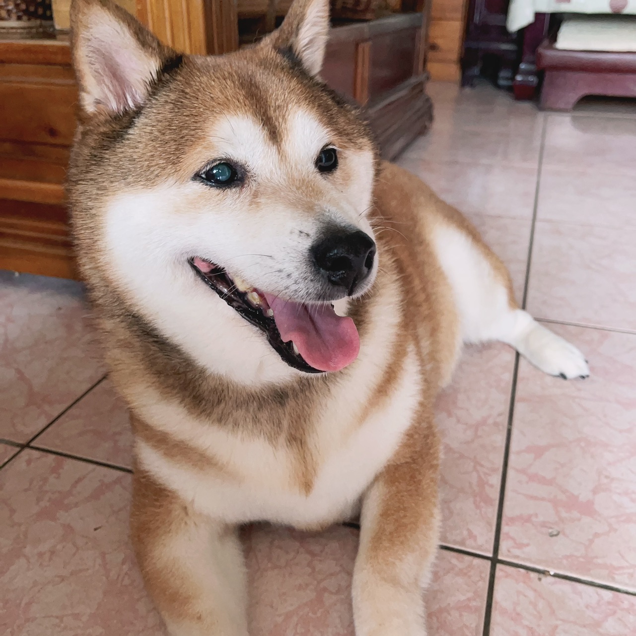 Angel Yang | Funliday travel guru